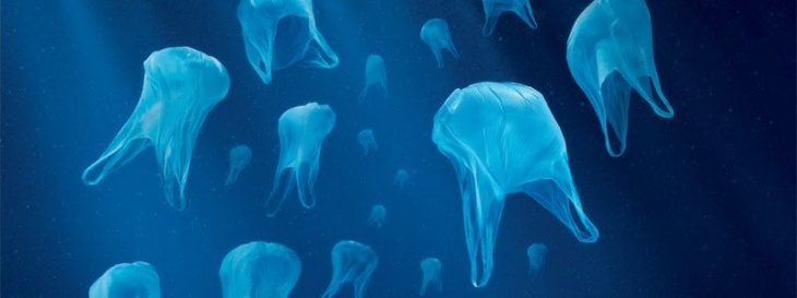 [EcoCraft] Plastic Jellyfish | Tickikids Singapore