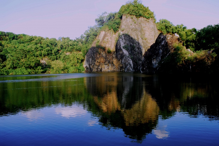 Bukit Timah Nature Reserve | Tickikids Singapore